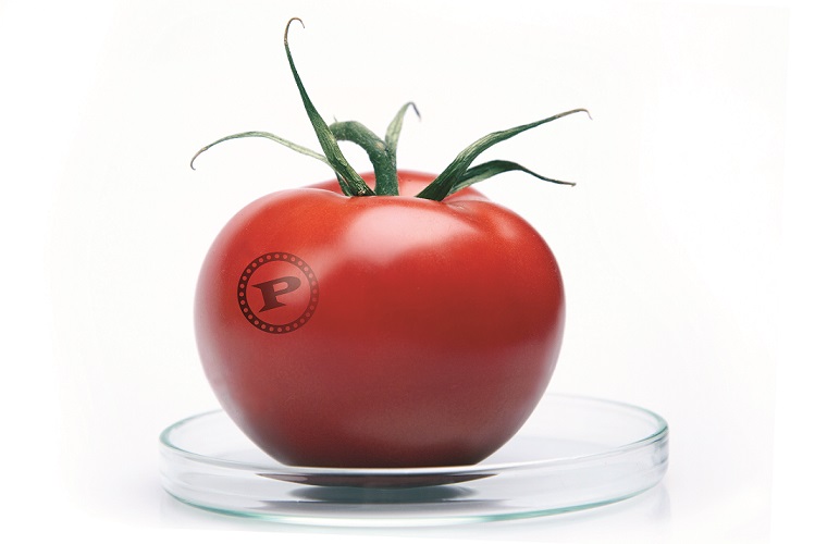 LycoRed Launches Formula Targeting Men’s Health – FOOD LAW LATEST